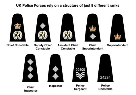 The British Police Hierarchy Unveiled - King Ice Apps