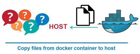 Copy File From Docker Container To Local Machine - King Ice Apps