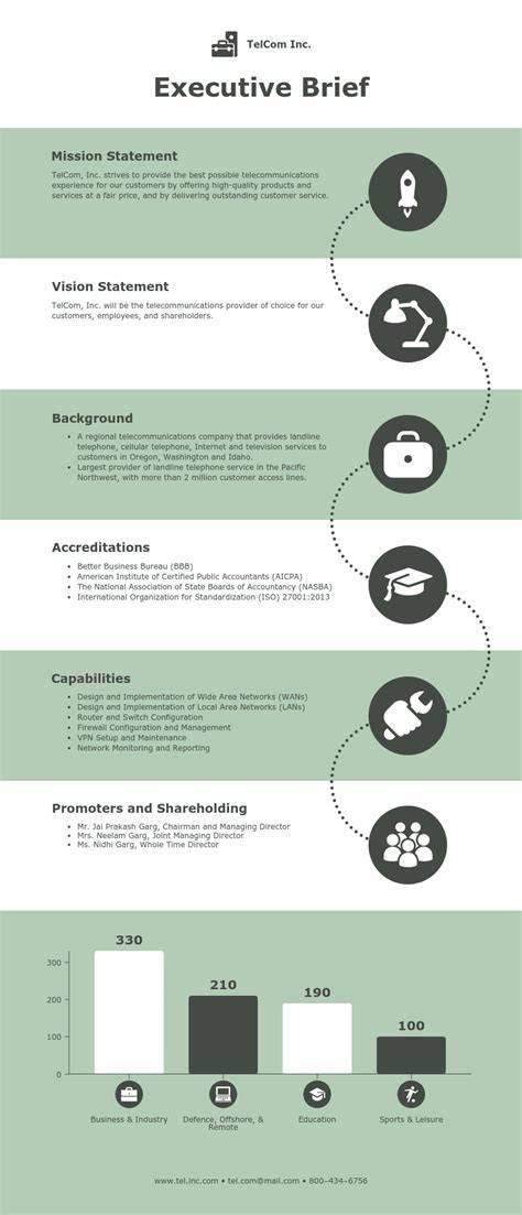 Executive Brief Sample - King Ice Apps