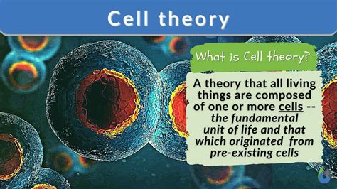 Unraveling Cell Theory's 3 Principles - King Ice Apps