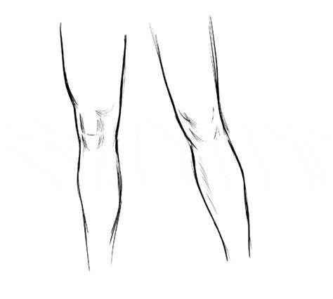 A Comprehensive Knee Drawing Guide - King Ice Apps