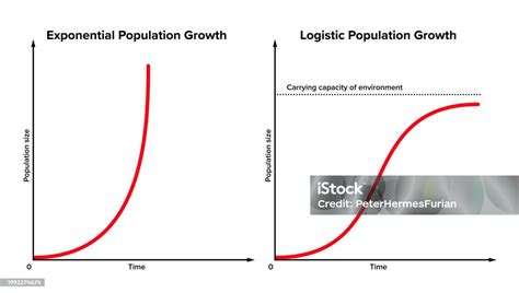 Unveiling the Difference: Logistic vs Exponential Growth - King Ice Apps