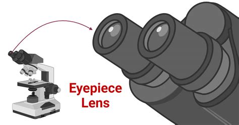 5 Easy Ocular Lens Microscope Tips - King Ice Apps