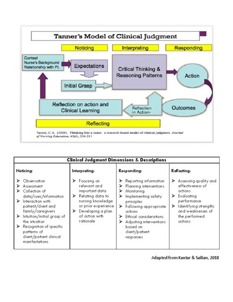 Tanner's Model Of Clinical Judgement - King Ice Apps